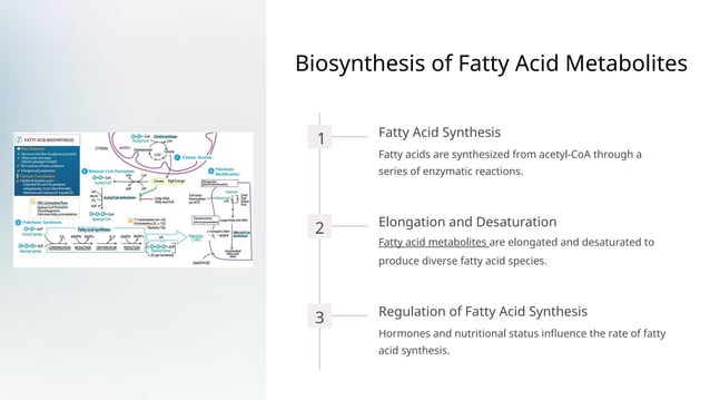 Understanding Fatty Acid Metabolites Pathways and Functions.pptx