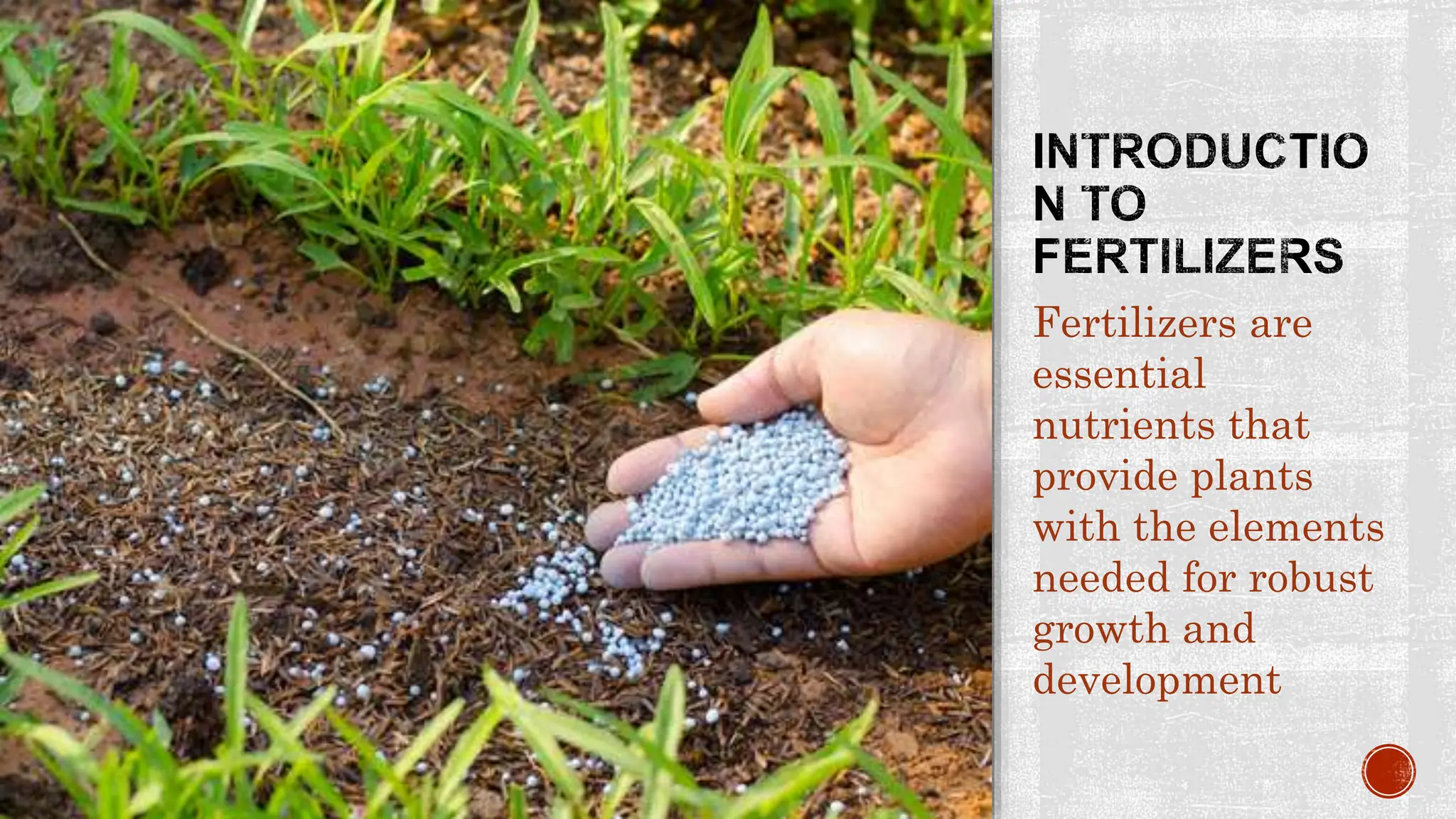 Understanding Fertilizers AT ONCE KJBDF | PPT