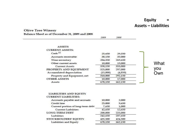 Understanding financial statement | PPT