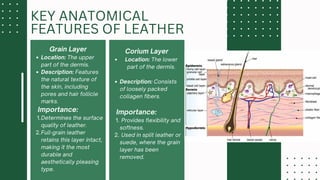 Understanding Finished Leather, Types, Properties, Manufacturing, and ...