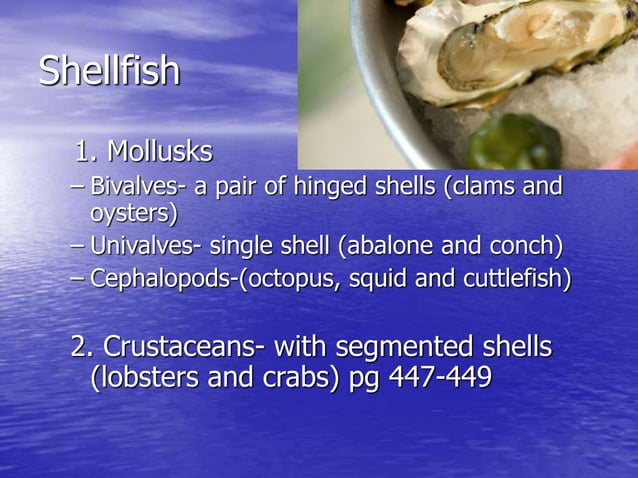 Understanding Fish and Shellfish.ppt | Fish and Aquariums | Pets
