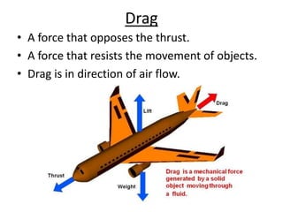 Understanding flight | PPTX