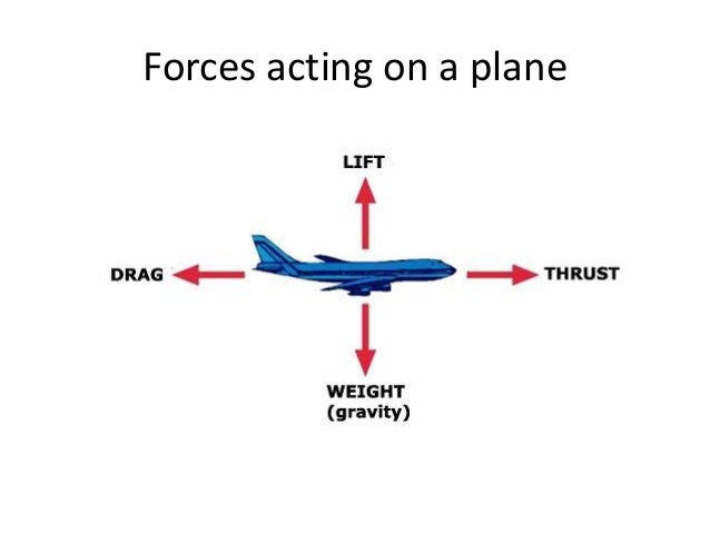 Understanding flight