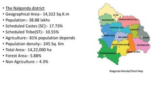 Understanding fluorosis in nalgonda and DFMC in Nalgonda | PPTX