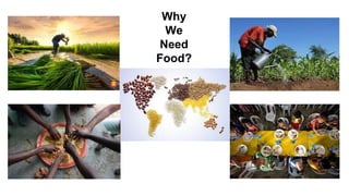 Understanding Food Security Pillars and Some Measurements.pdf