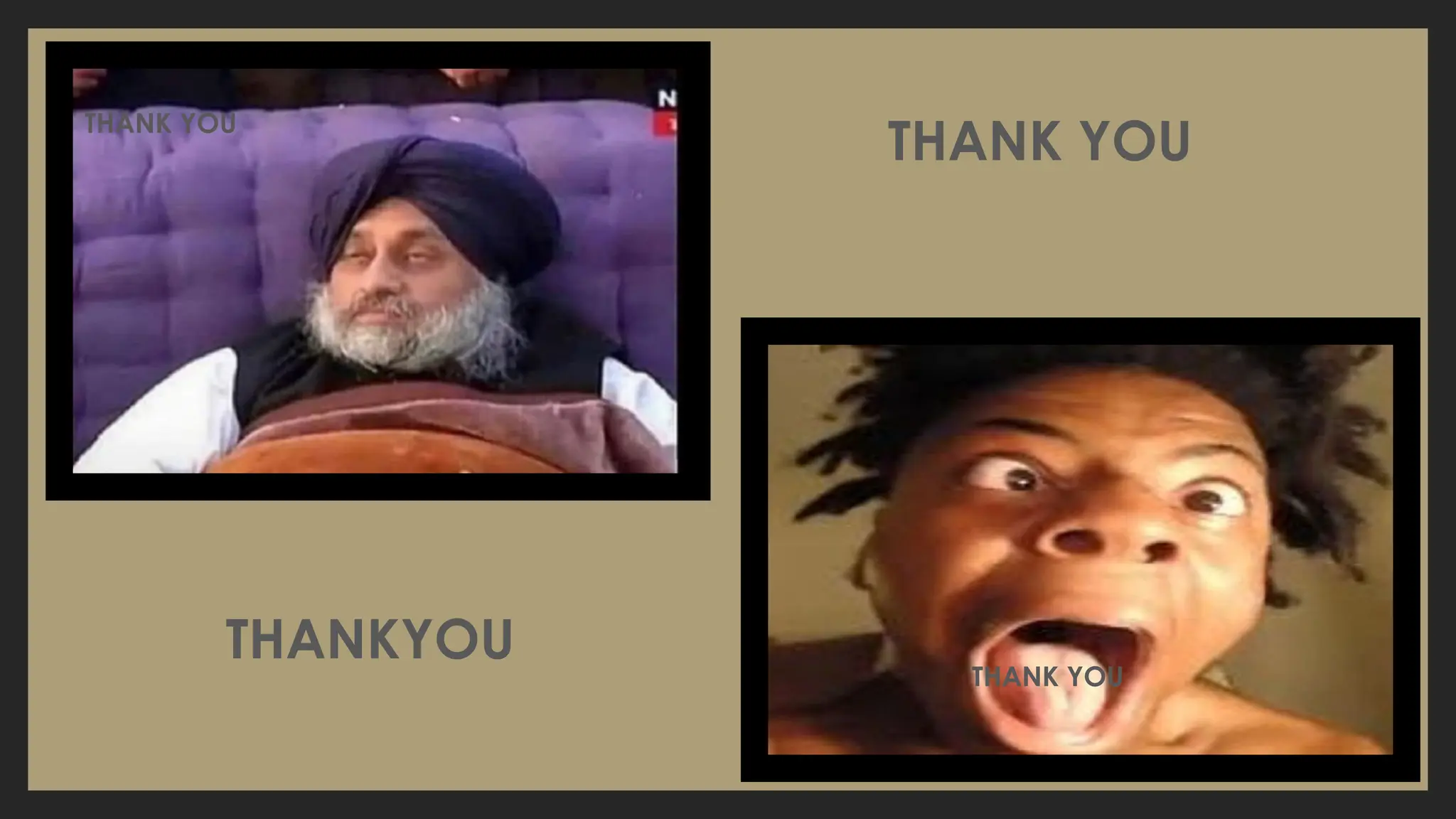 UNDERSTANDING FOOD WEBS.pptDavinderSingh | PPT