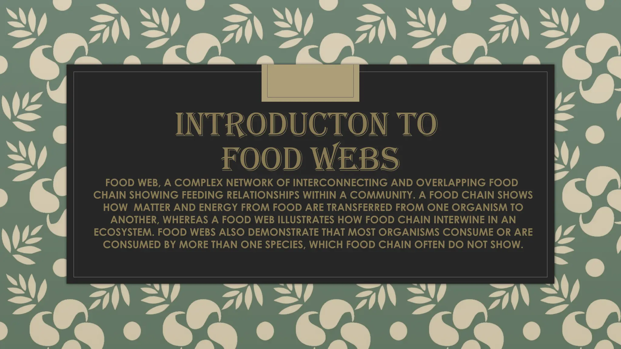 UNDERSTANDING FOOD WEBS.pptx Sangha saab | PPT