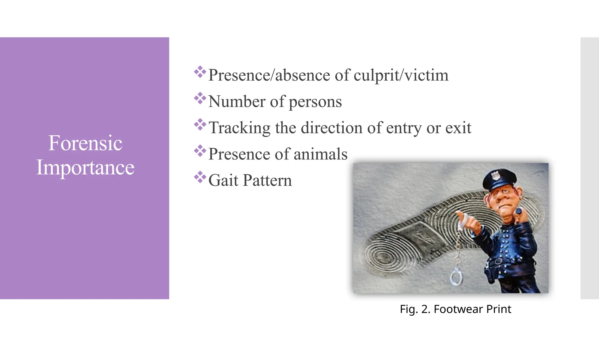 Understanding Footprints in Forensics ...........pptx