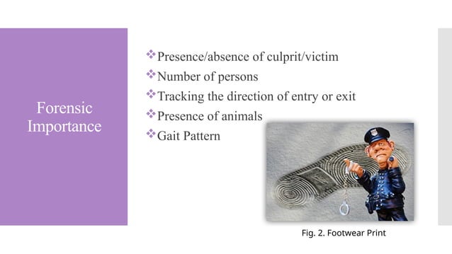 Understanding Footprints in Forensics ...........pptx