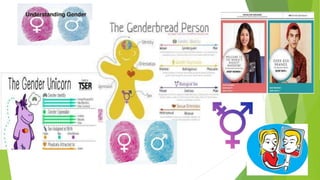 Understanding gender | PPT