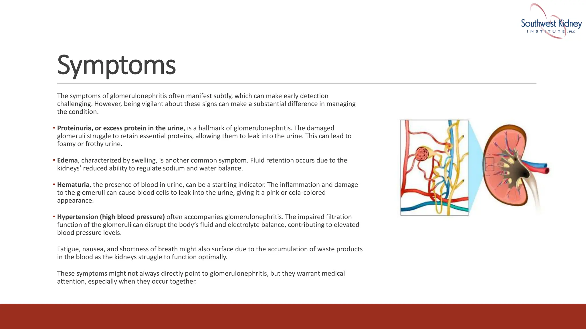 Understanding Glomerulonephritis Causes, Symptoms, and Diagnosis.pptx