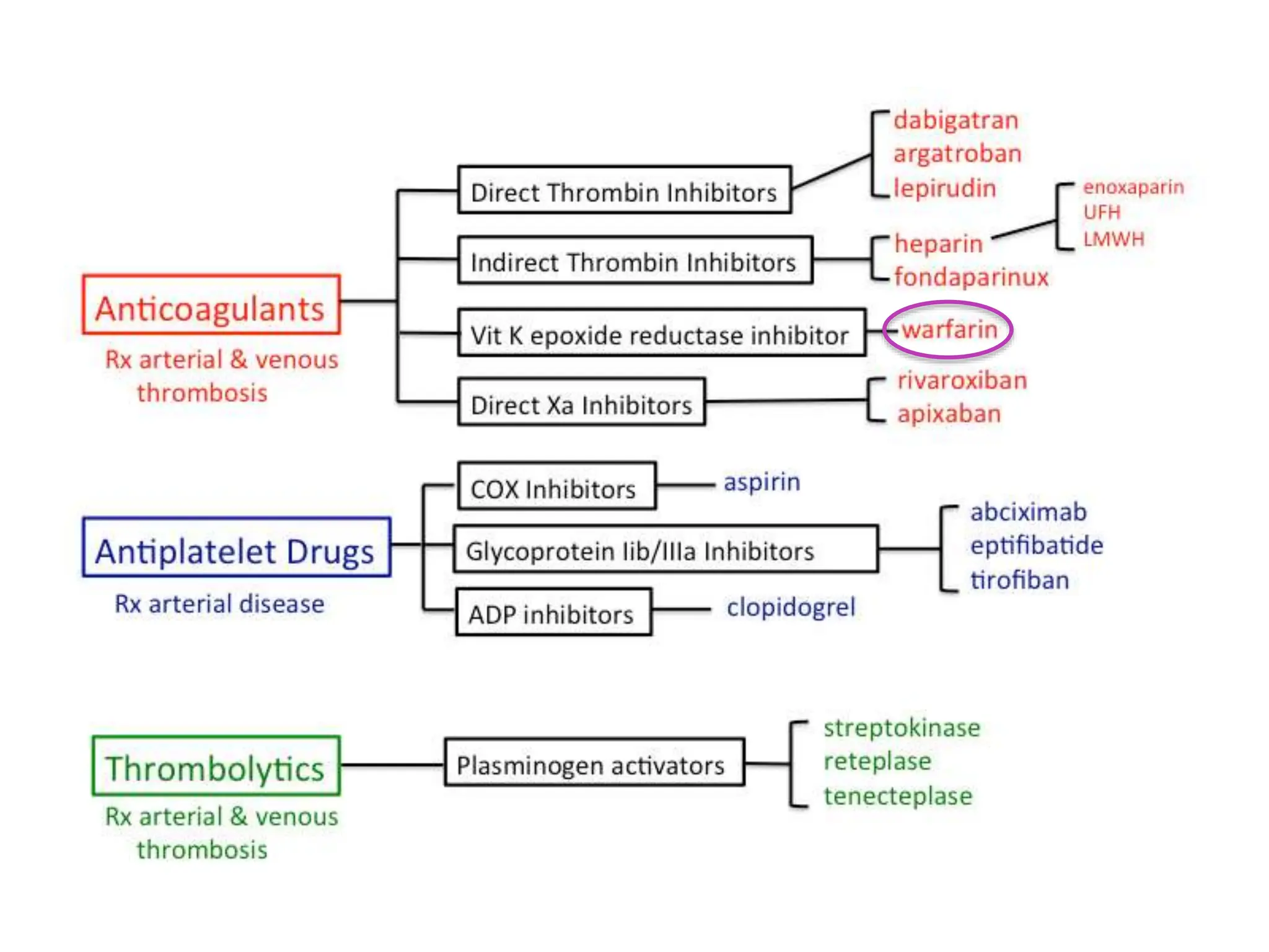 Understanding Haemostasis | Coagulations & Anticoagulation | PPTX ...