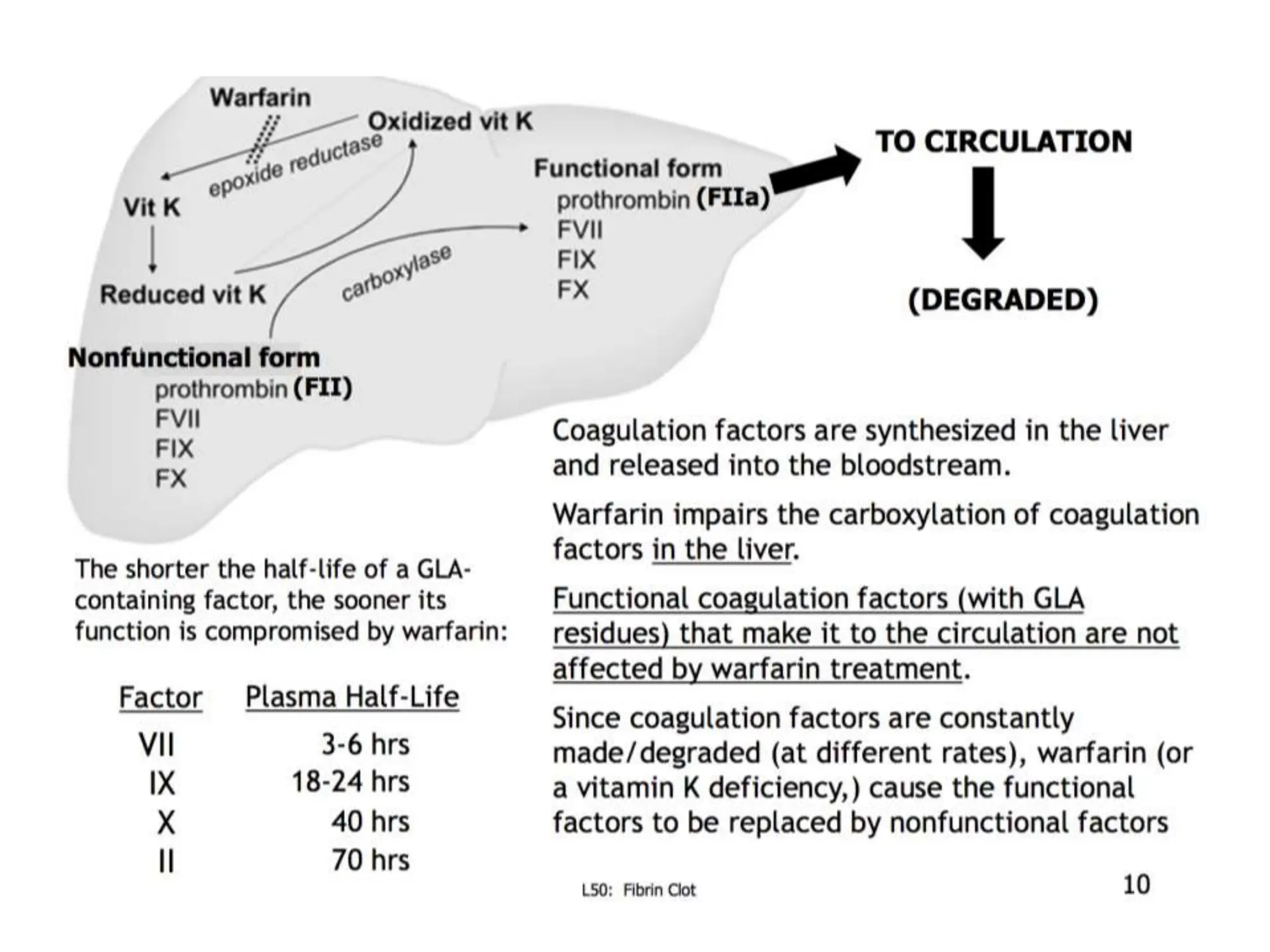 Understanding Haemostasis | Coagulations & Anticoagulation | PPTX ...