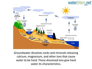 Understanding hard water & water softening | PPTX