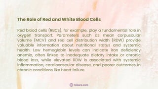 Understanding Hematology Tests and Their Importance in Medicine.pdf