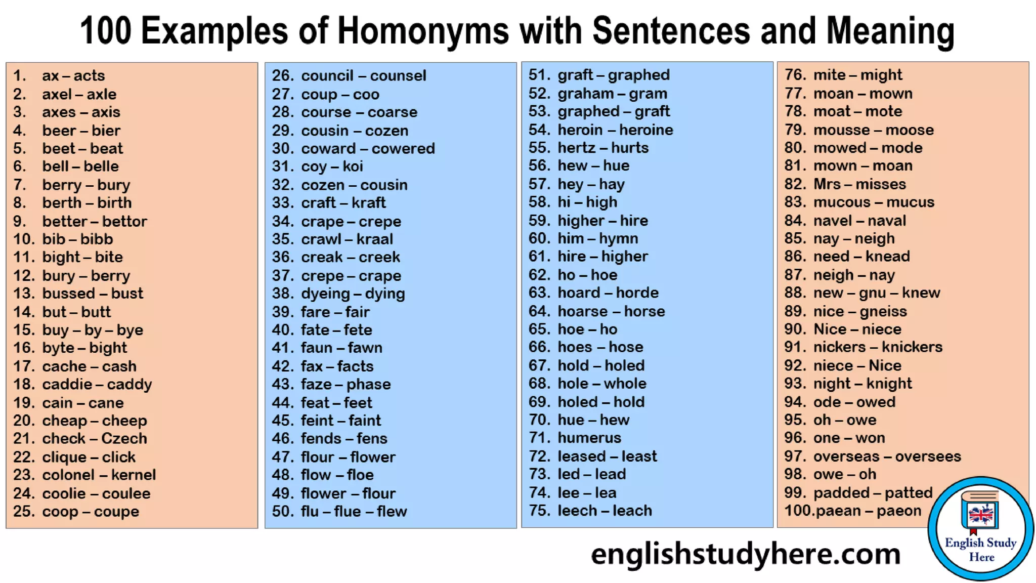 Understanding Homonyms.pptx