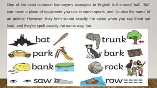 Understanding Homonyms.pptx