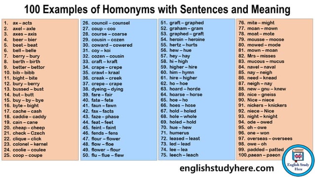 Understanding Homonyms.pptx