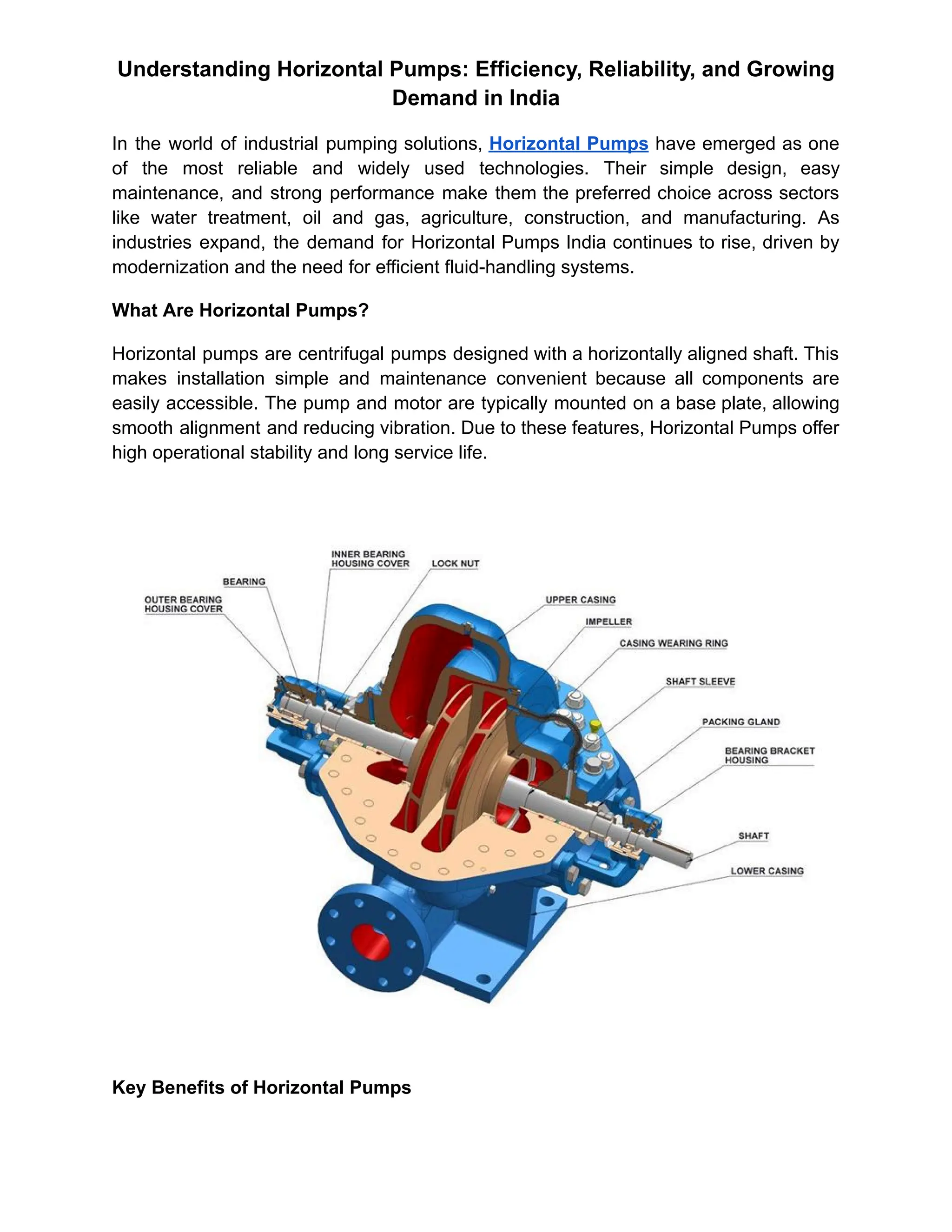 Understanding Horizontal Pumps: Efficiency, Reliability, and Growing ...