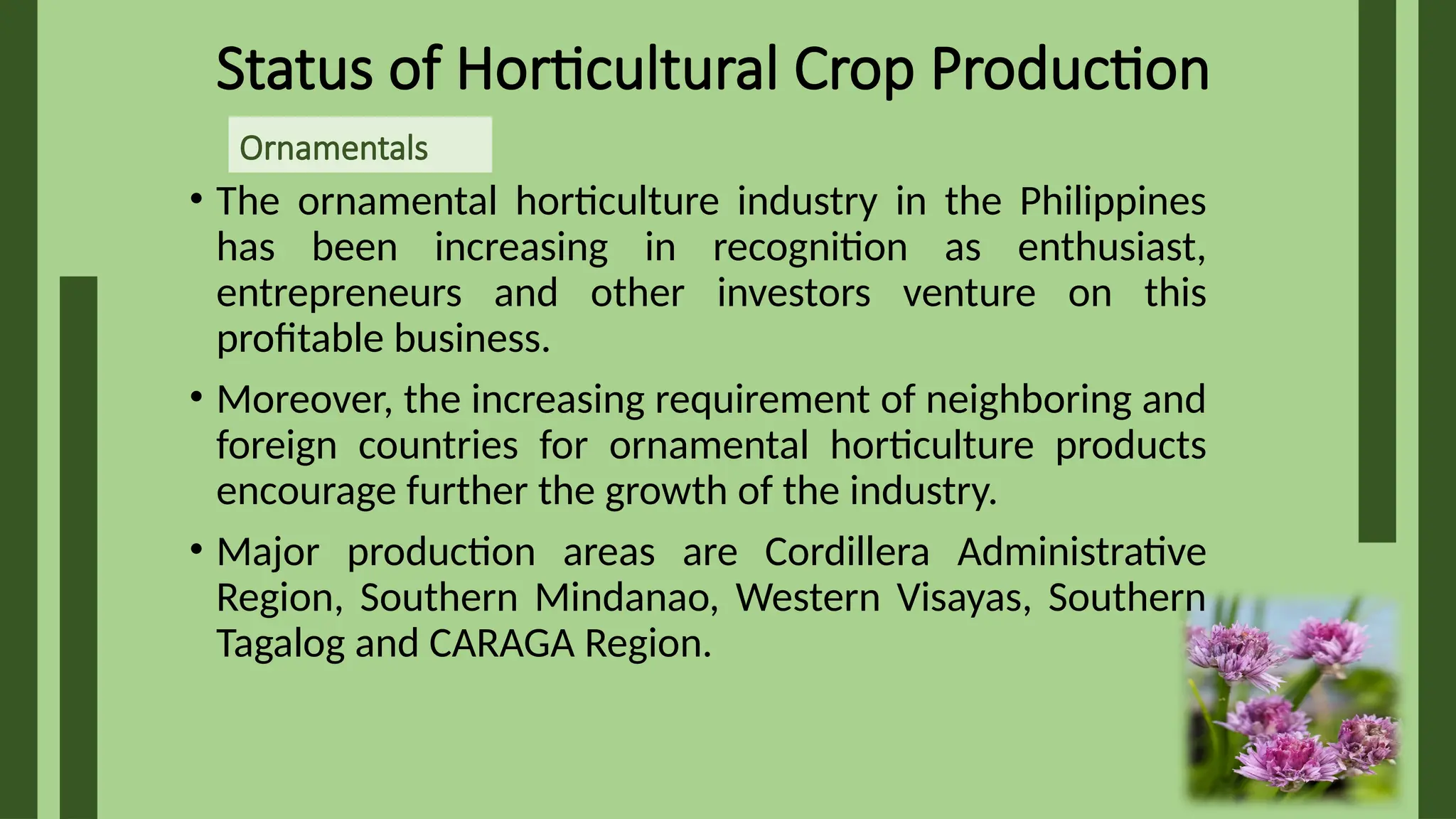 Understanding Horticulture AGRI BUSINESS.pptx