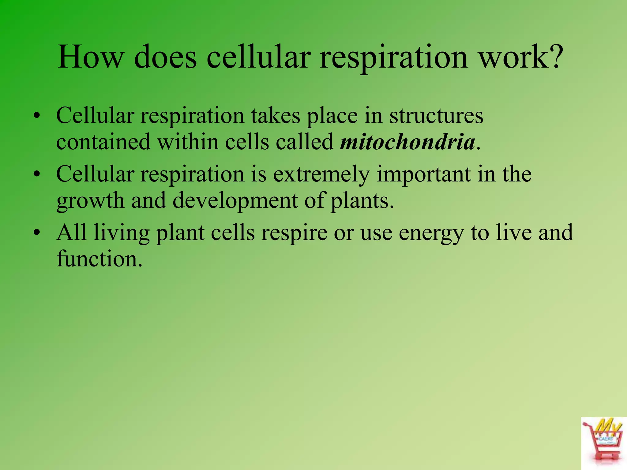 Understanding Horticulture Plant Physiology.ppt | Chemistry | Science