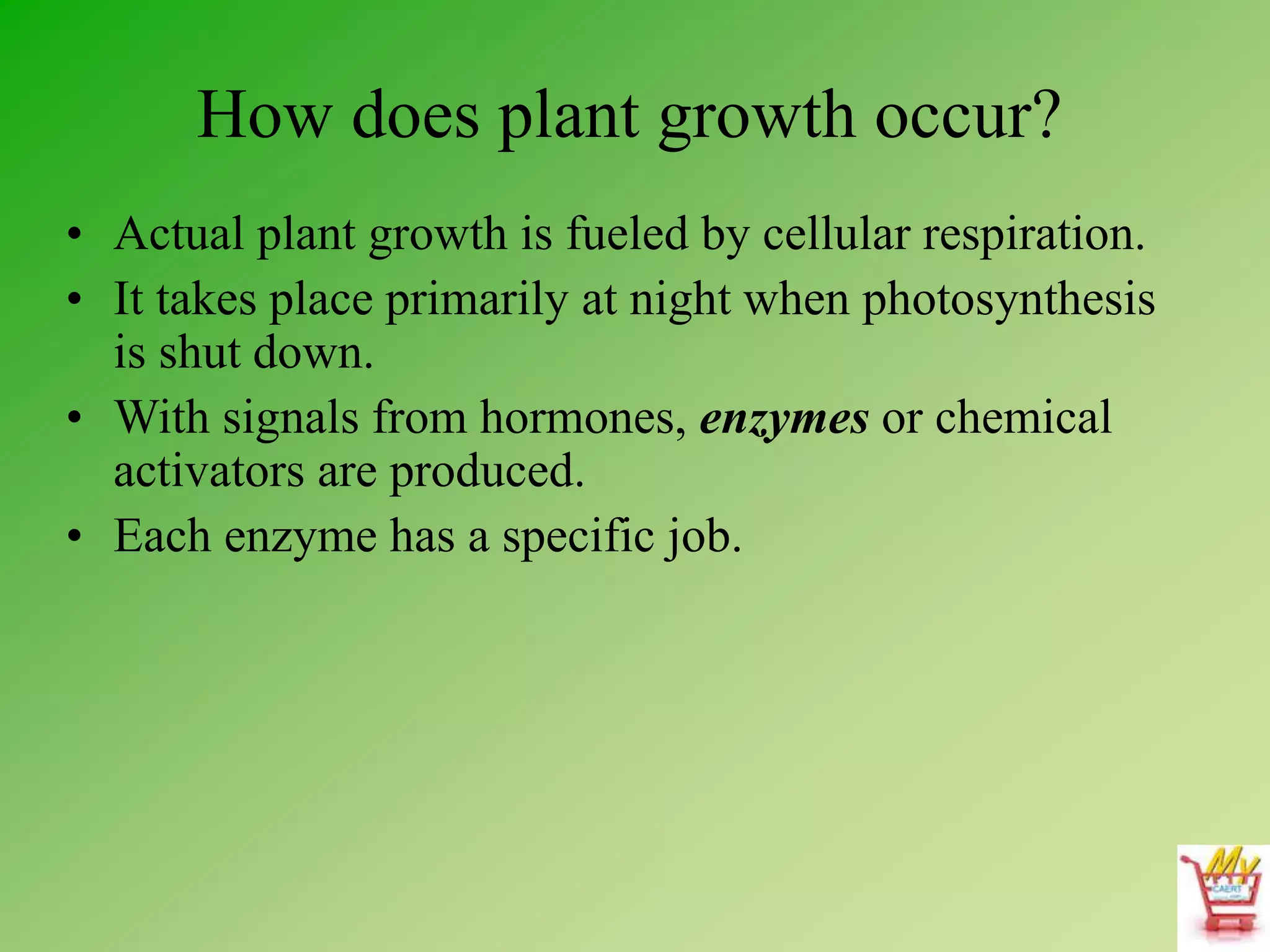 Understanding Horticulture Plant Physiology.ppt | Chemistry | Science