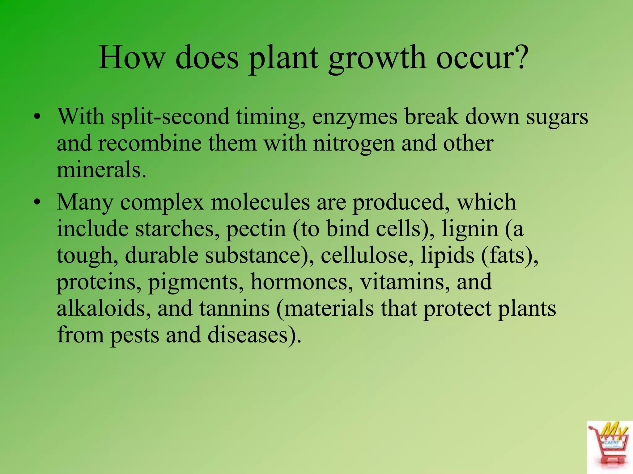 Understanding Horticulture Plant Physiology.ppt | Chemistry | Science
