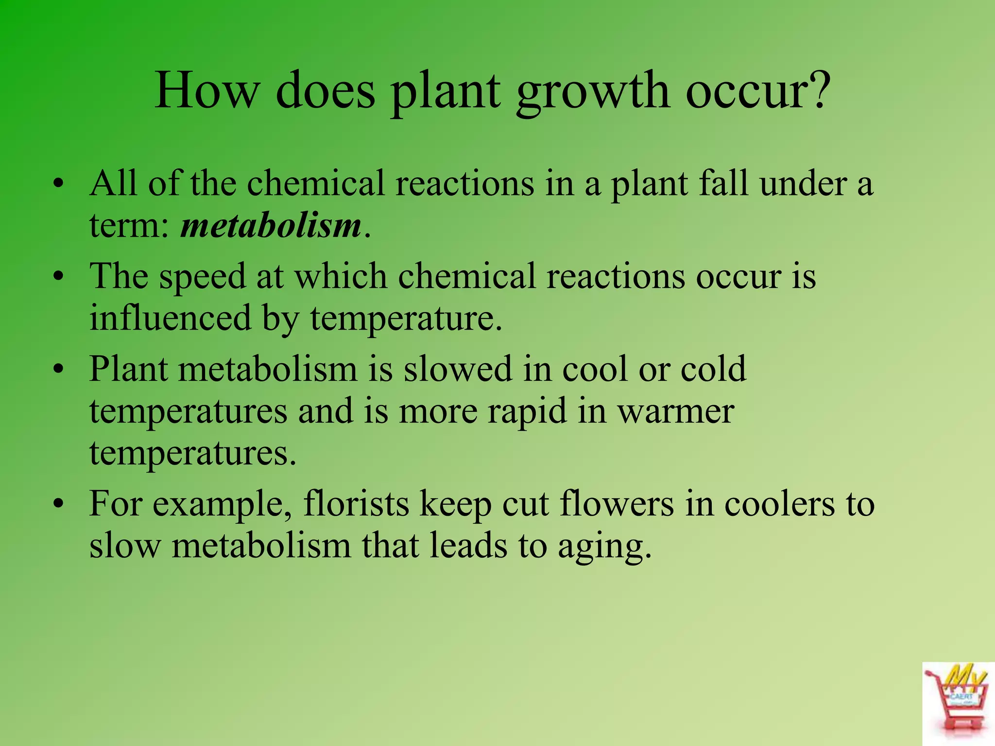 Understanding Horticulture Plant Physiology.ppt