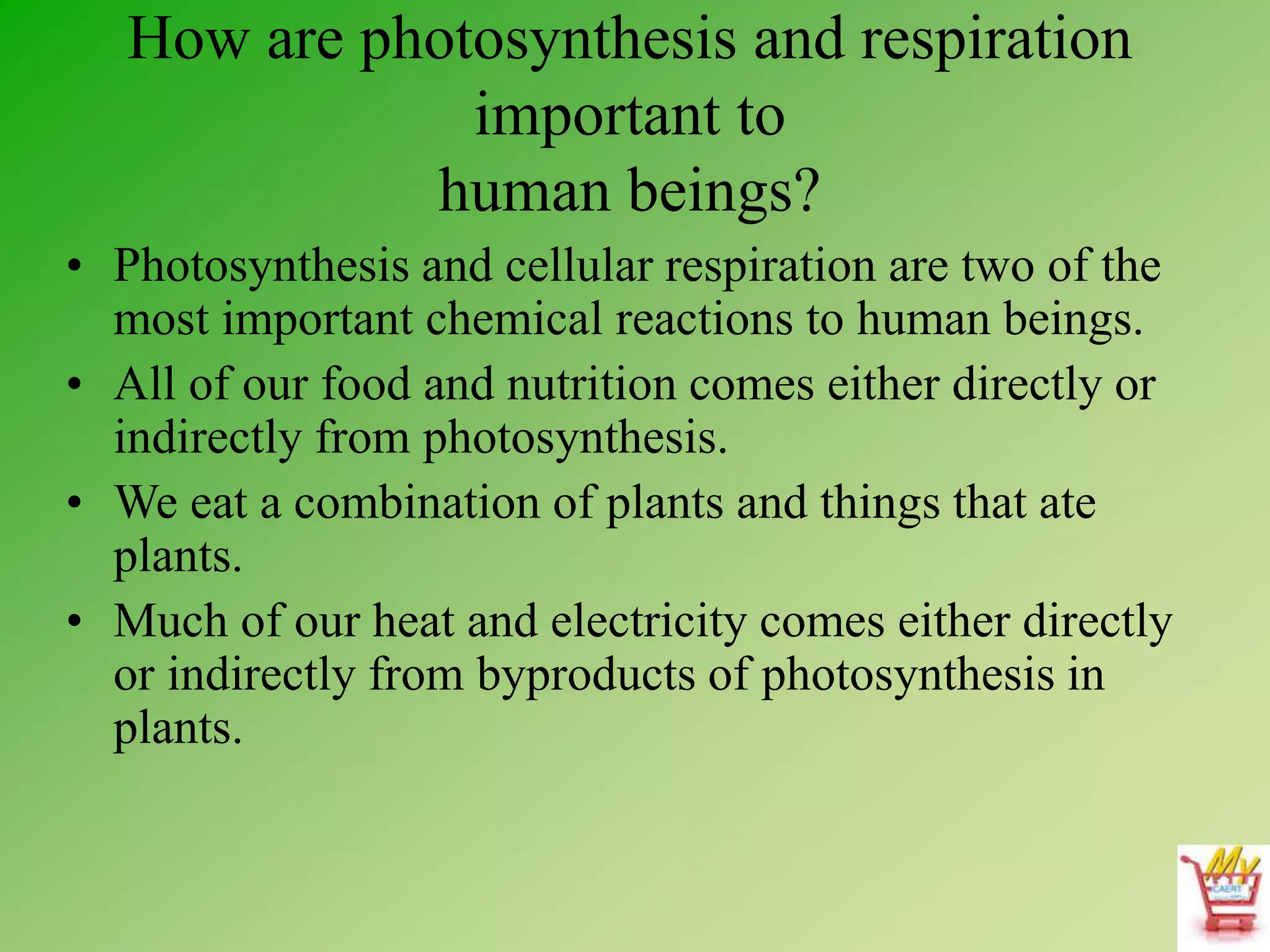 Understanding Horticulture Plant Physiology.ppt
