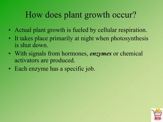 Understanding Horticulture Plant Physiology.ppt