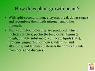 Understanding Horticulture Plant Physiology.ppt