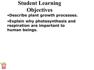 Understanding Horticulture Plant Physiology.ppt