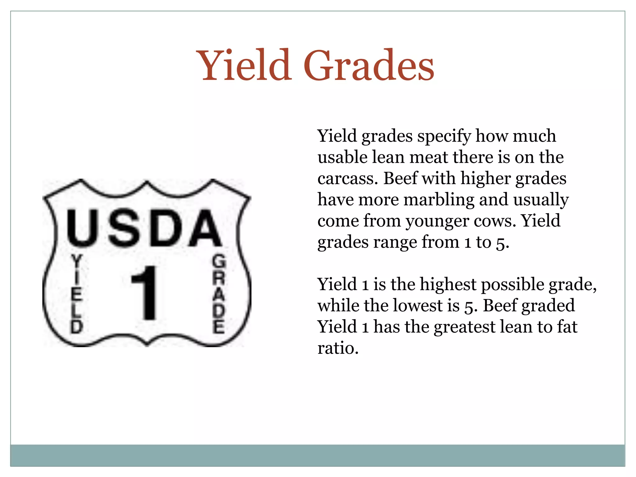 Understanding How The USDA Grades Beef | PPTX