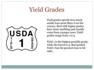 Understanding How The USDA Grades Beef | PPTX