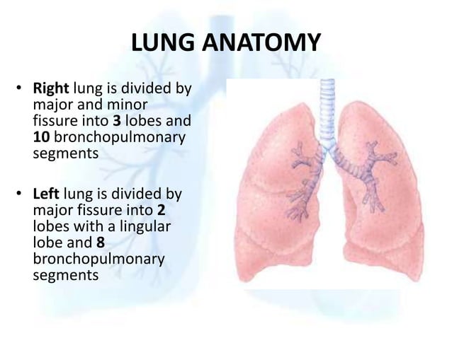 Understanding hrct | PPTX | Lung and Respiratory Health | Diseases and ...