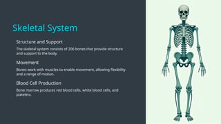 Understanding Human Body Systems.pptxcxx | PPTX