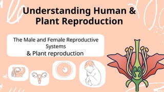 Understanding Human & Plant Reproduction.pptx