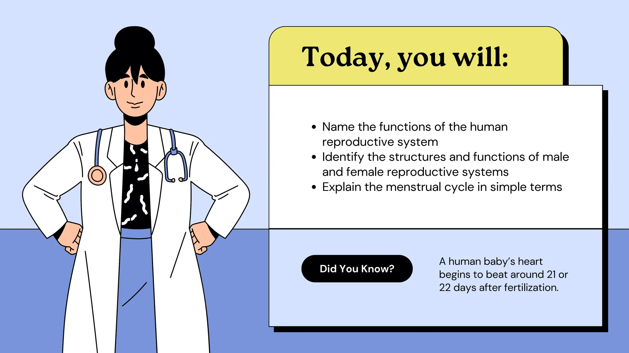 Understanding Human Reproduction Education Presentation in Blue Yellow ...