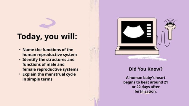 Human Reproduction Educational sciencess | PPT