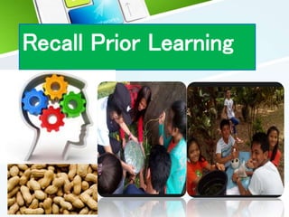 Lesson 15 Understanding hypermedia | PPTX