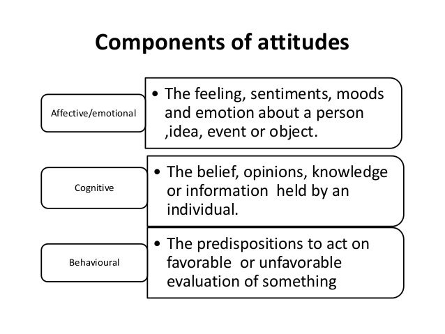 Understanding individual behaviour