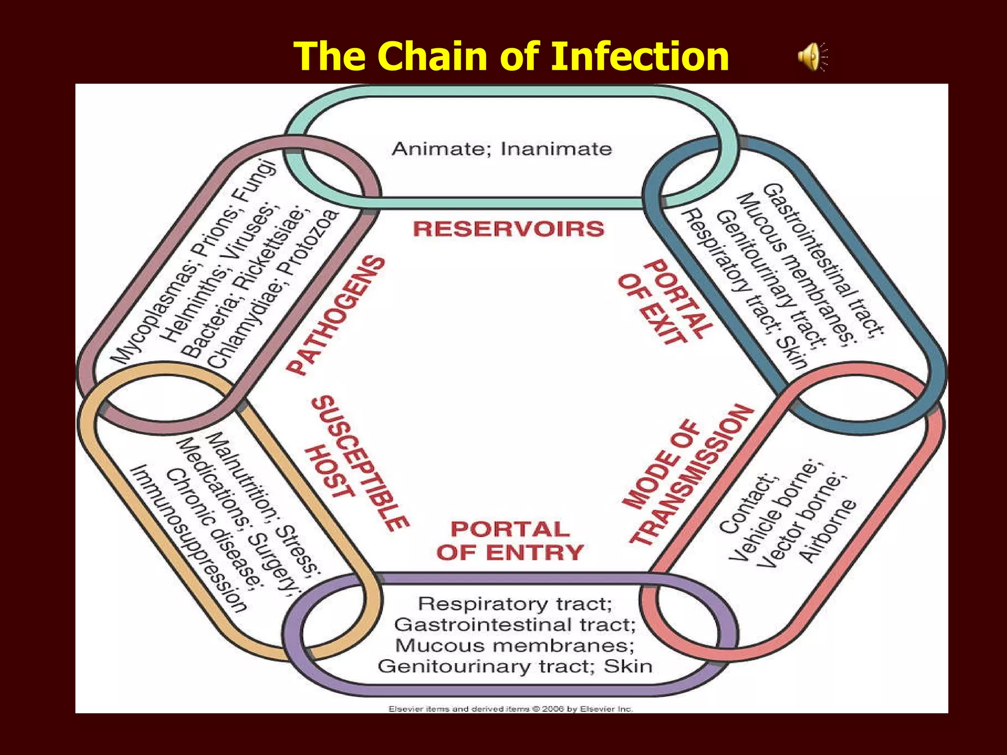 Understanding Infection | PPT