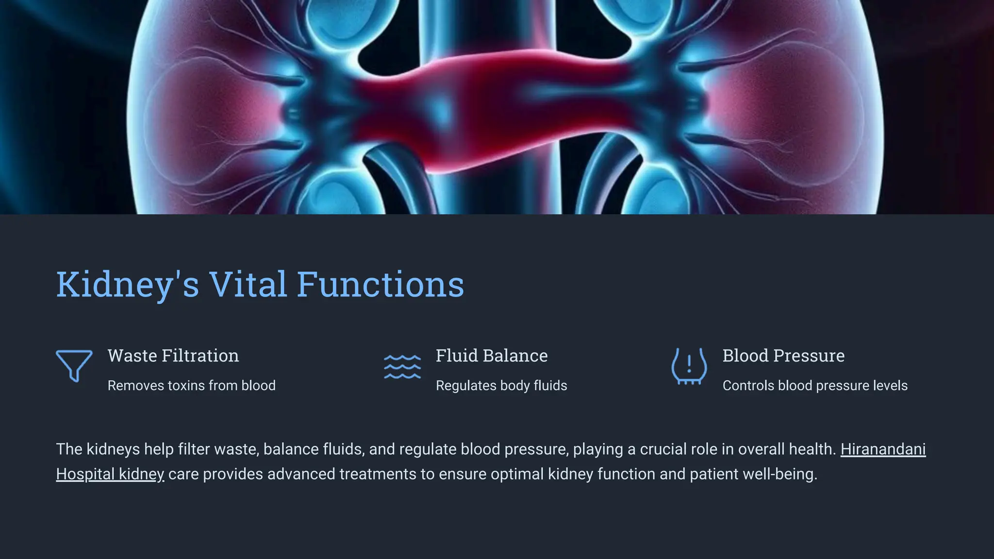Understanding Kidney Function and Common Diseases: Insights from ...