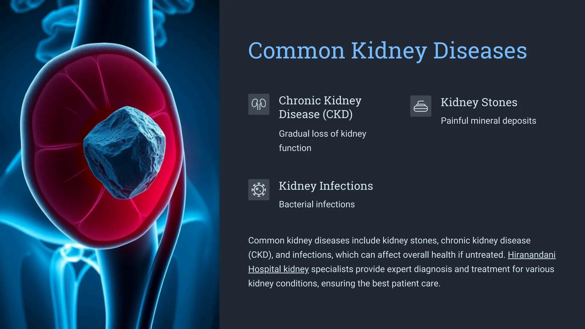 Understanding Kidney Function and Common Diseases: Insights from Hiranandani Hospital | PDF