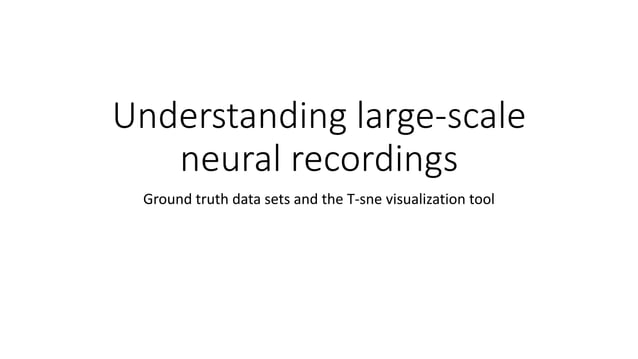 Understanding large scale neural recordings ground truth data sets and the t-sne visualizations ...