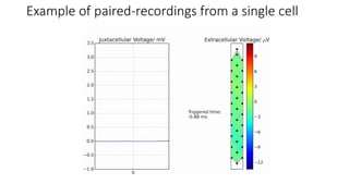 Understanding large scale neural recordings ground truth data sets and the t-sne visualizations ...