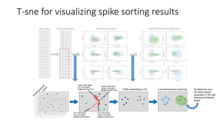 Understanding large scale neural recordings ground truth data sets and ...