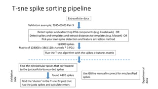 Understanding large scale neural recordings ground truth data sets and ...