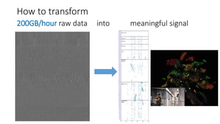 Understanding large scale neural recordings ground truth data sets and the t-sne visualizations ...