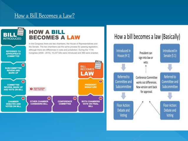 Understanding laws | PPTX